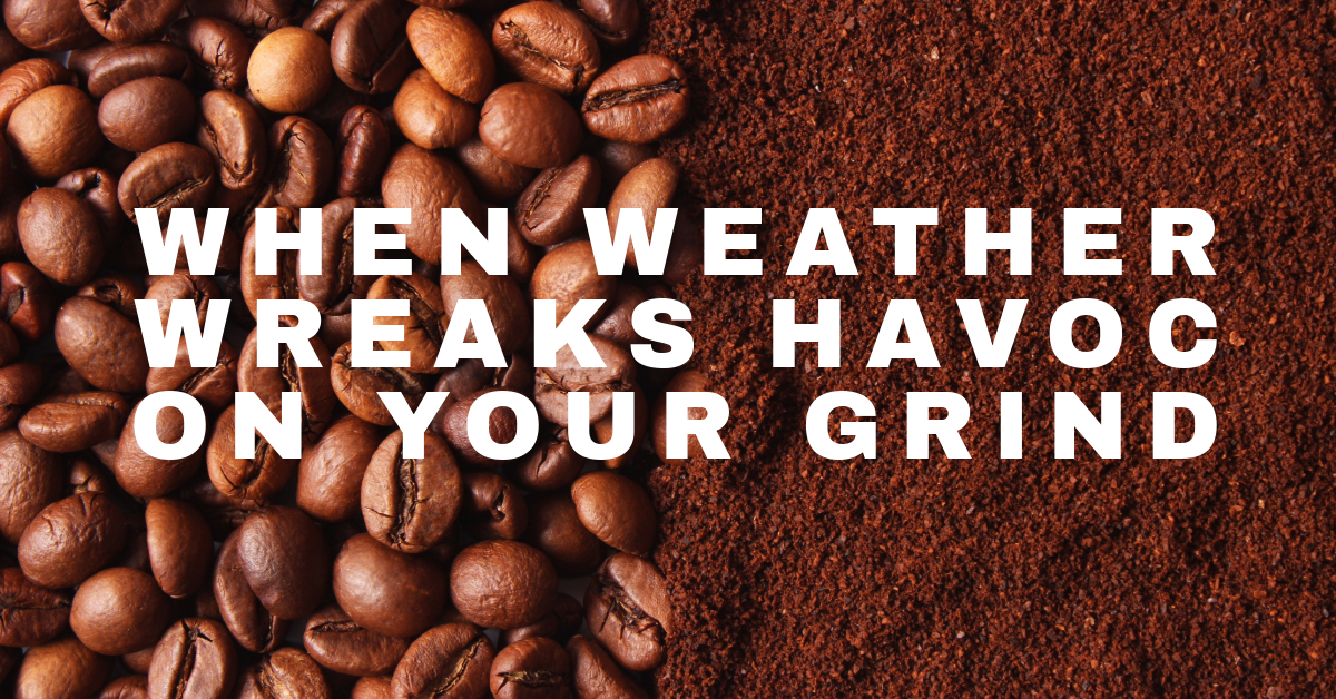 THE BARISTA'S NEMESIS: WHEN WEATHER WREAKS HAVOC ON YOUR GRIND | HG ...